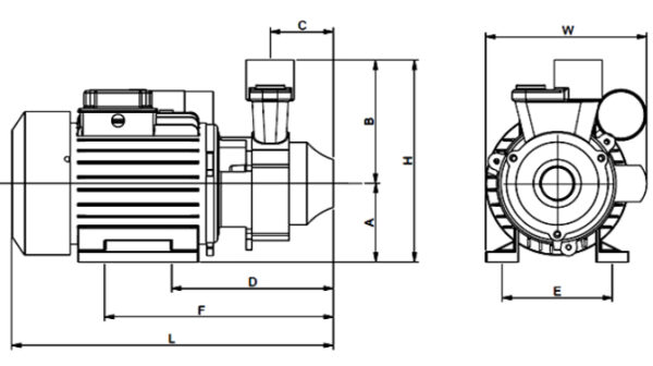 Self and Non Self Priming Pumps - Point Pumps